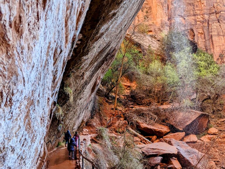 Can You Drive in Zion National Park? (What You Need to Know) - We're in ...