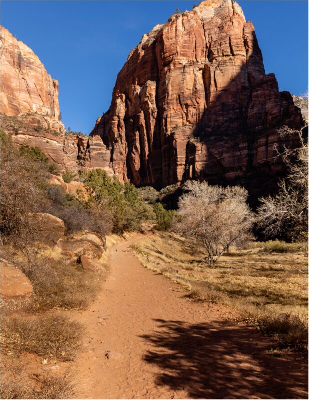 The Best Time of Year to Visit Zion National Park