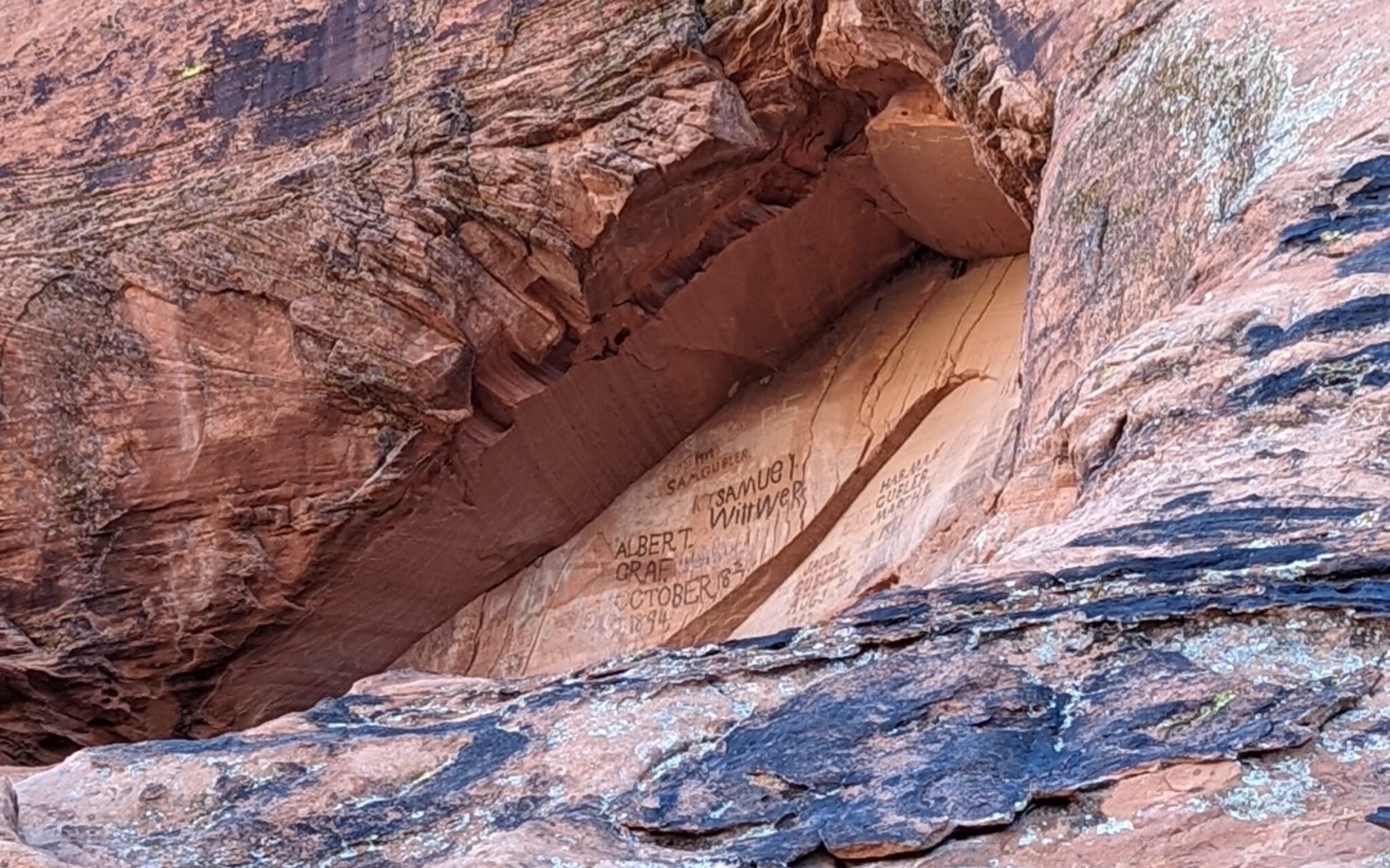 10 Great Things to Do in Snow Canyon State Park, Plus Helpful Tips for ...