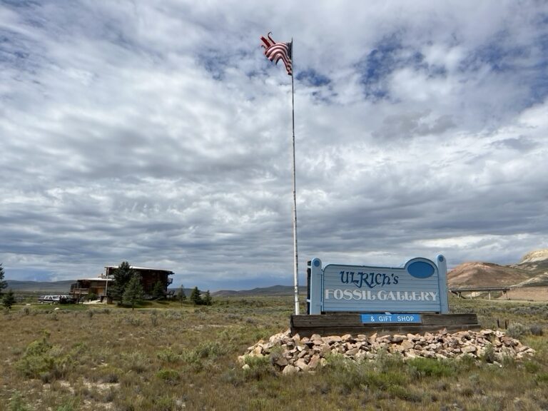 Fossil Butte National Monument: 7 Things To Do - We're in the Rockies