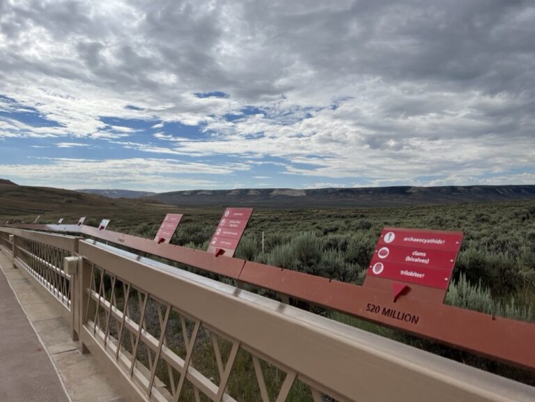 Fossil Butte National Monument: 7 Things To Do - We're in the Rockies