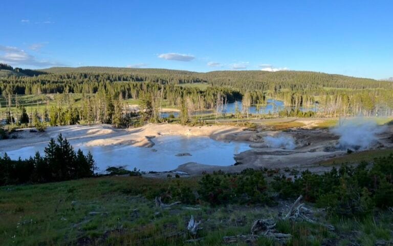 How to Visit Hayden Valley in Yellowstone