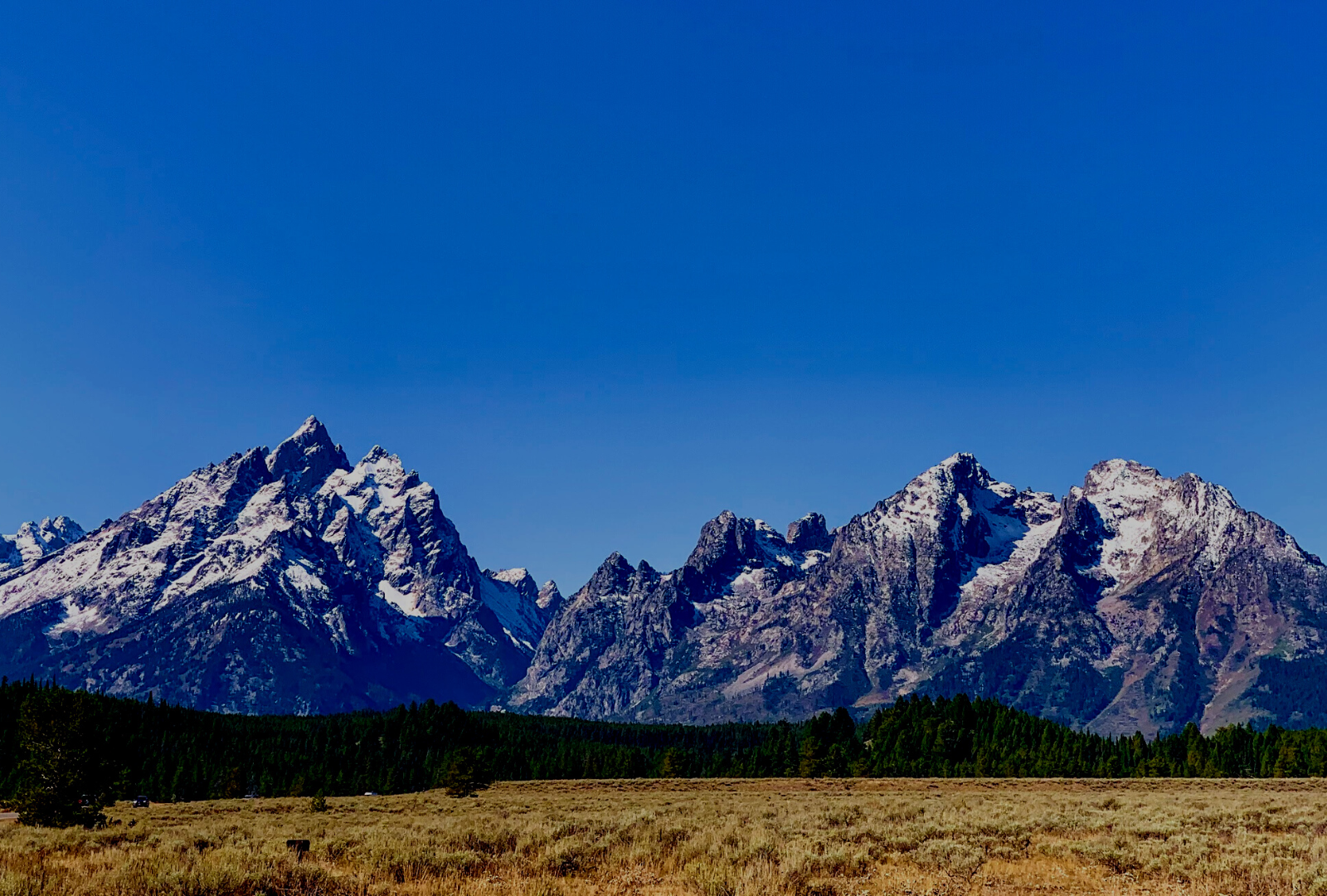 The Best Time of Year to Visit Grand Teton National Park