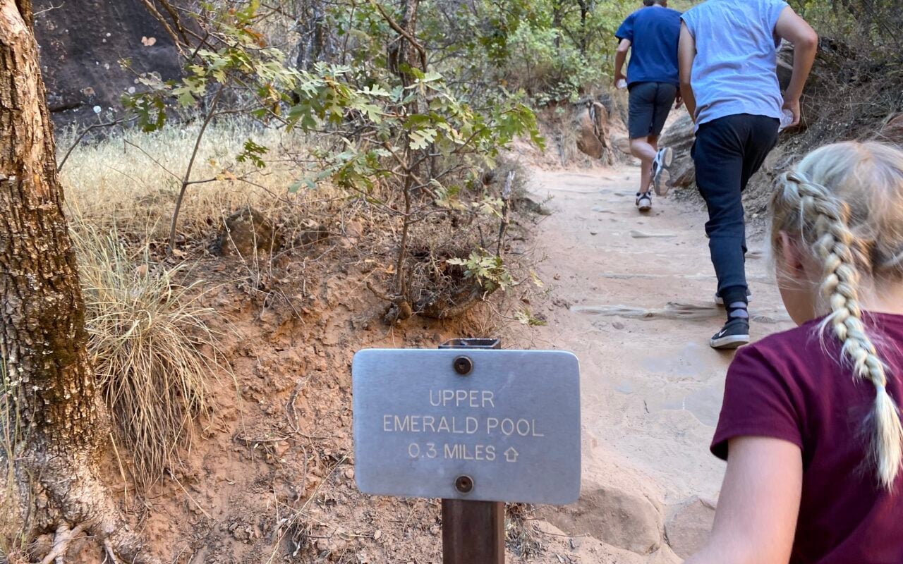 How to Hike the Emerald Pools Trail in Zion - wereintherockies