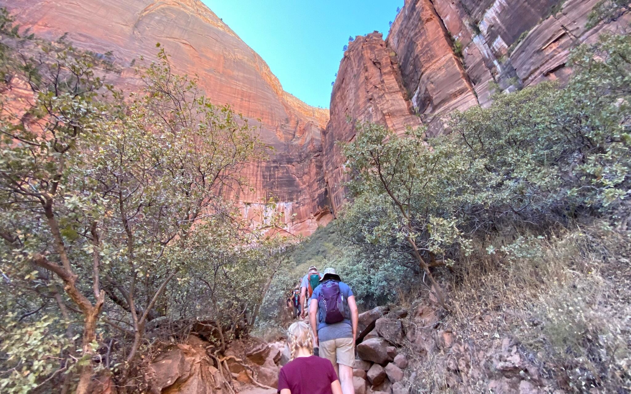 How to Hike the Emerald Pools Trail in Zion - wereintherockies