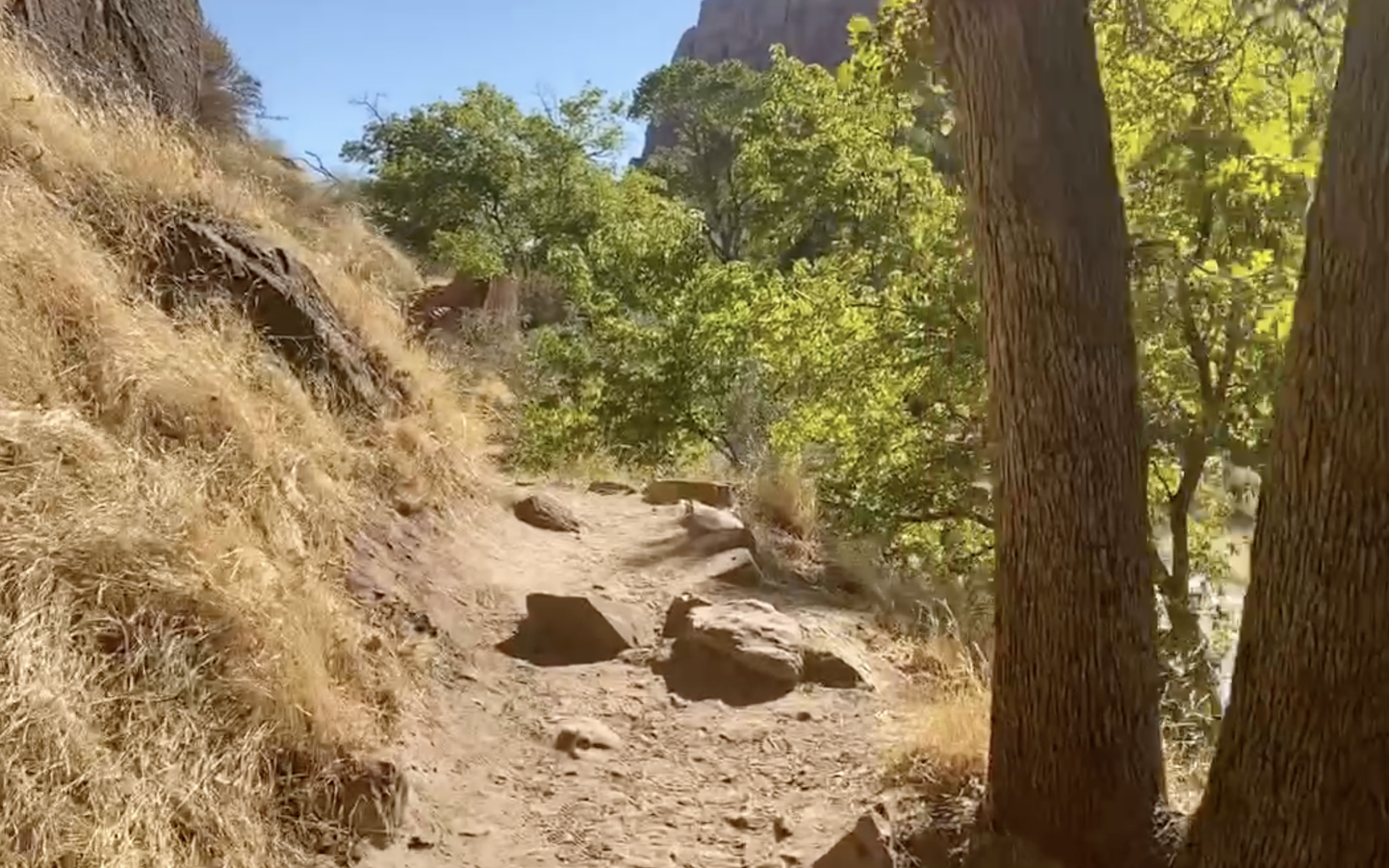 How to Hike the Emerald Pools Trail in Zion - wereintherockies