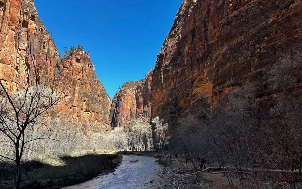 Is Zion Too Crowded? What Every Traveler Needs to Know - We're in the ...