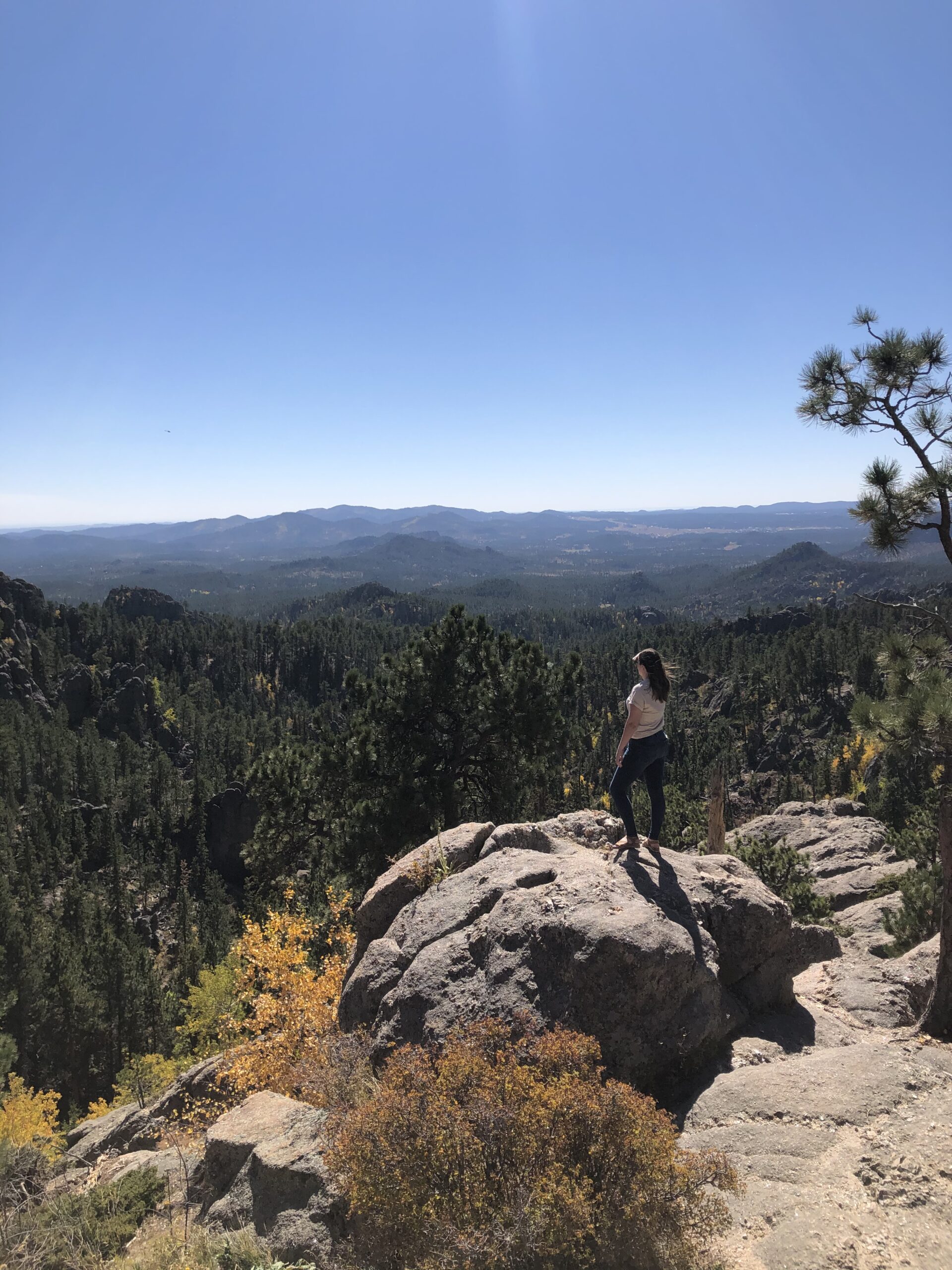 What to See While Driving the Needles Highway in South Dakota - We're ...