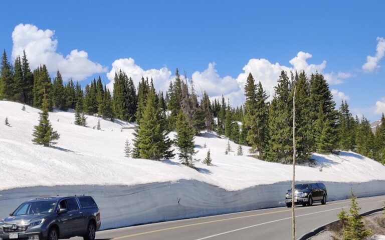 Trail Ridge Road in Rocky Mountain National Park: 10 Things to Know ...