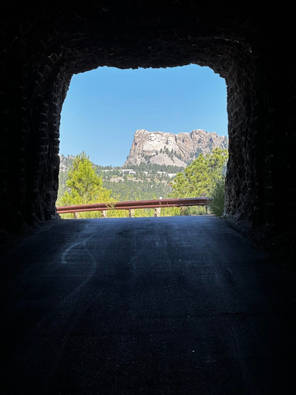 Wildlife Loop Drive Guide: Custer State Park - wereintherockies