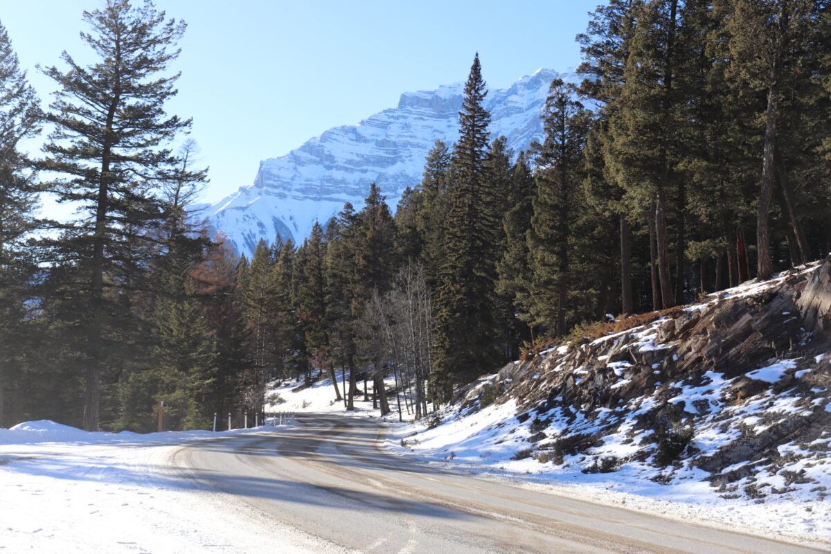 Driving in Banff: 10 Things You Should Know - We're in the Rockies