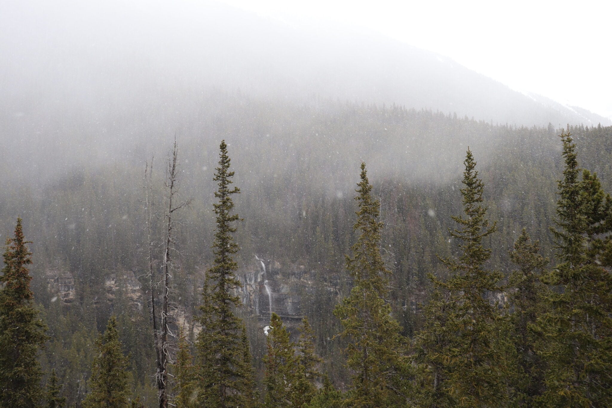 Choosing the Best Entrance to Banff National Park