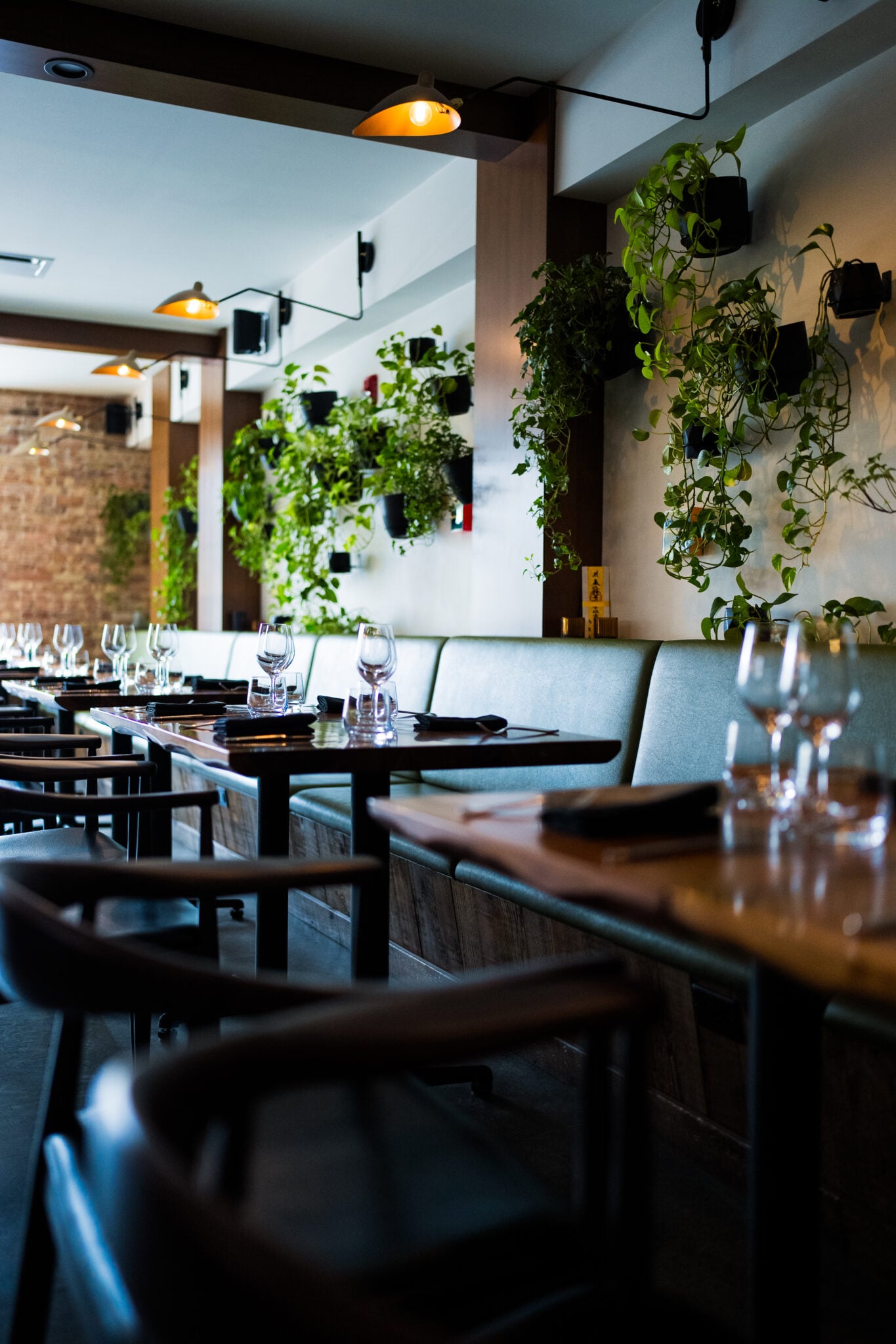 Where to Eat in Canmore: For Every Type of Traveller - We're in the Rockies