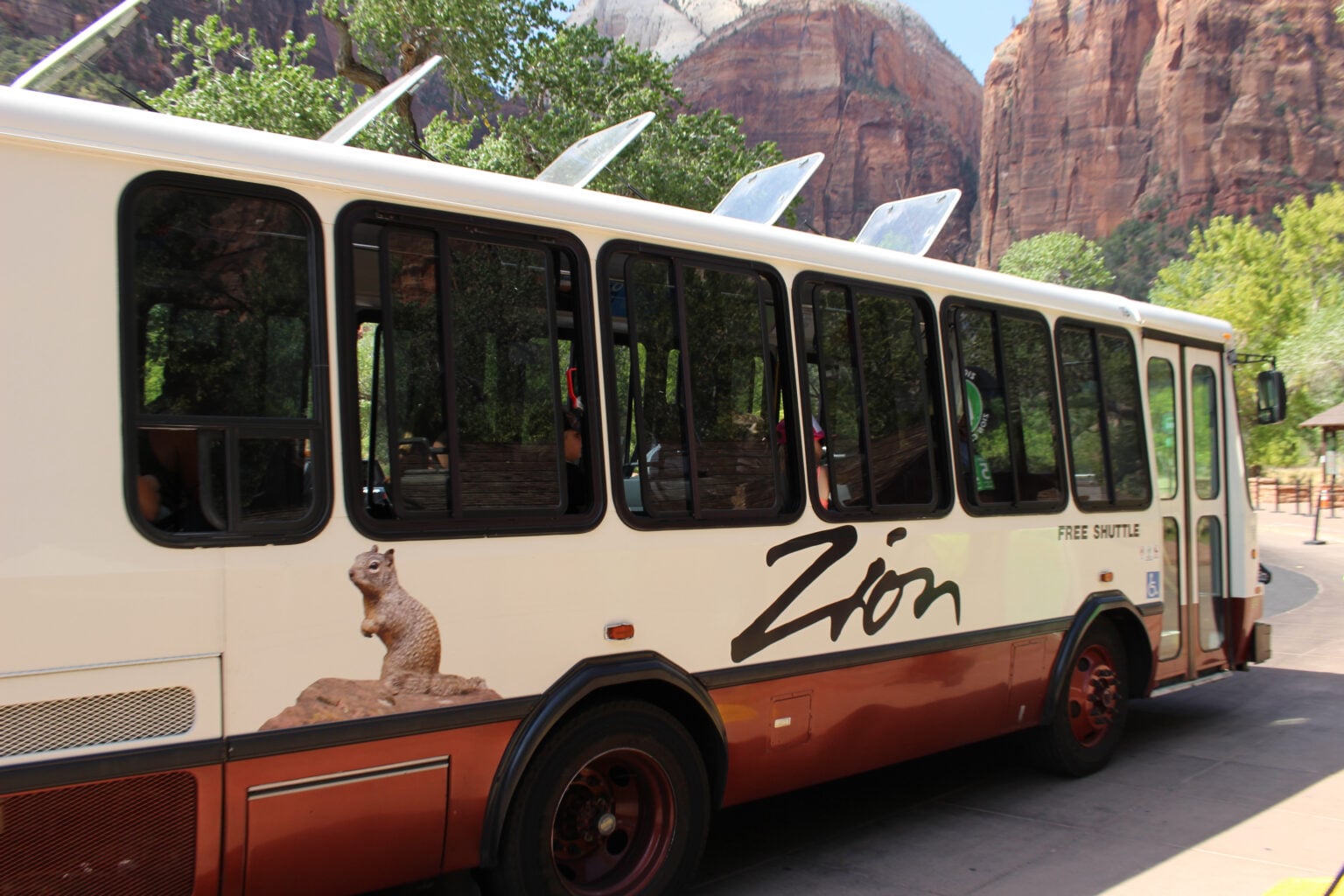 Everything You NEED TO KNOW to Bike in Zion National Park (+ E-biking ...