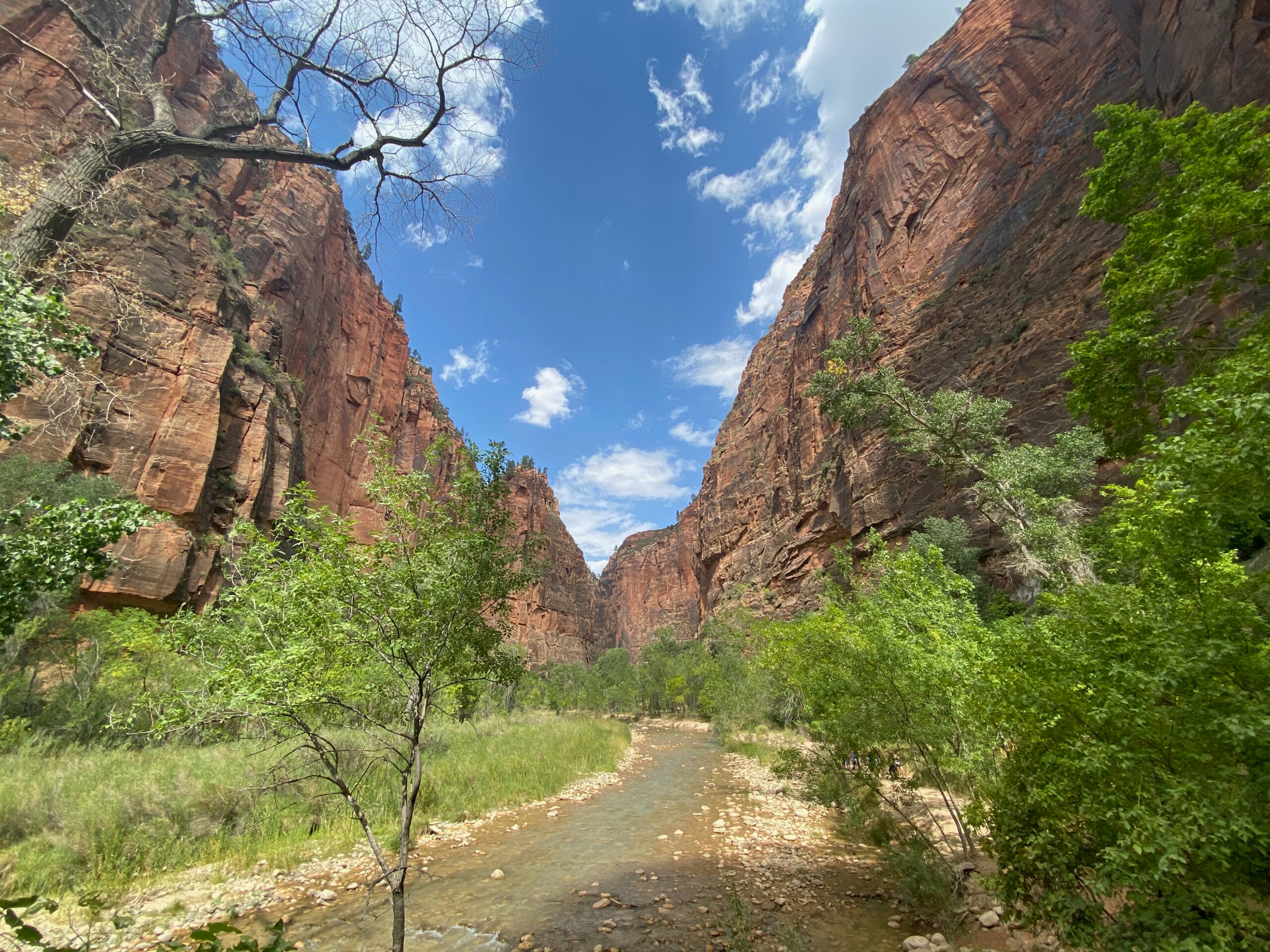 Zion to Bryce Canyon: Epic 3-Day Road Trip - wereintherockies