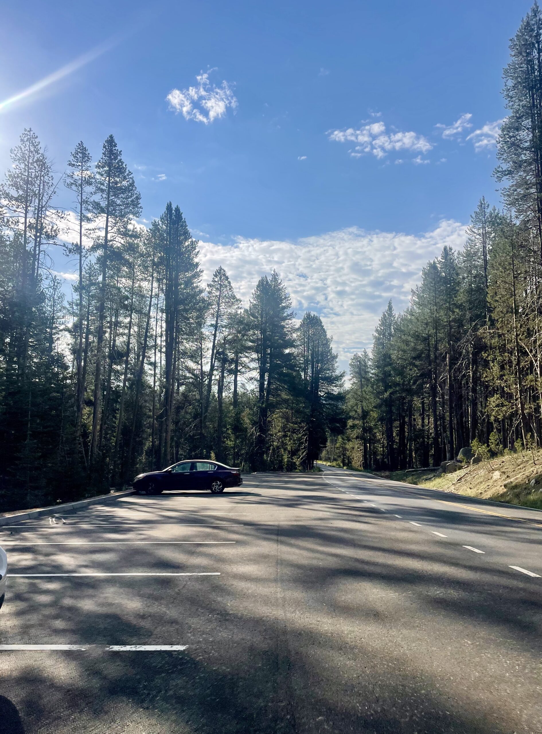 Driving in Yosemite: 10 Things You Need to Know - We're in the Rockies