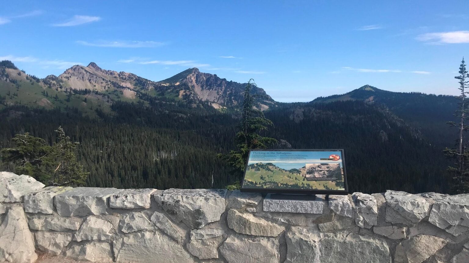 How to Visit Sunrise at Mount Rainier - wereintherockies