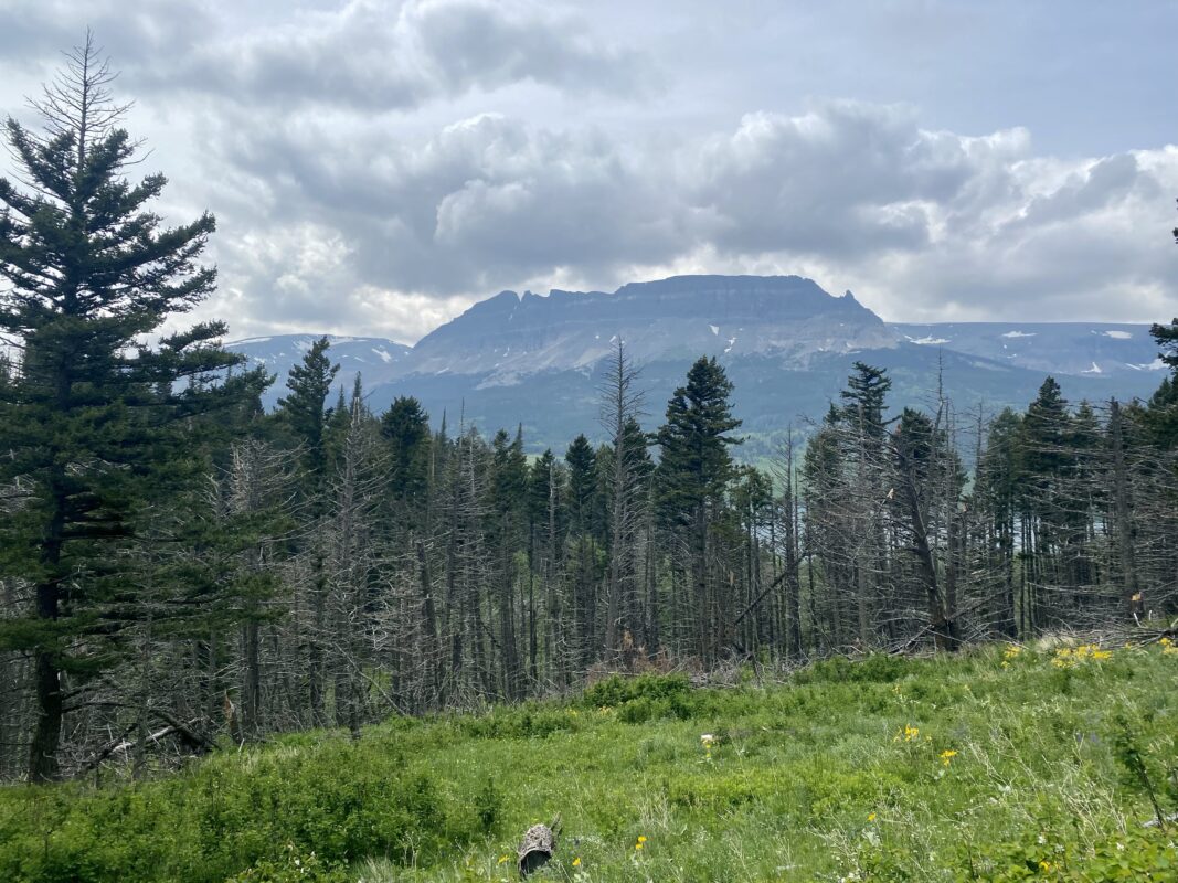 Glacier’s 11 Most Popular Hikes (+ Hidden Gems) - We're in the Rockies