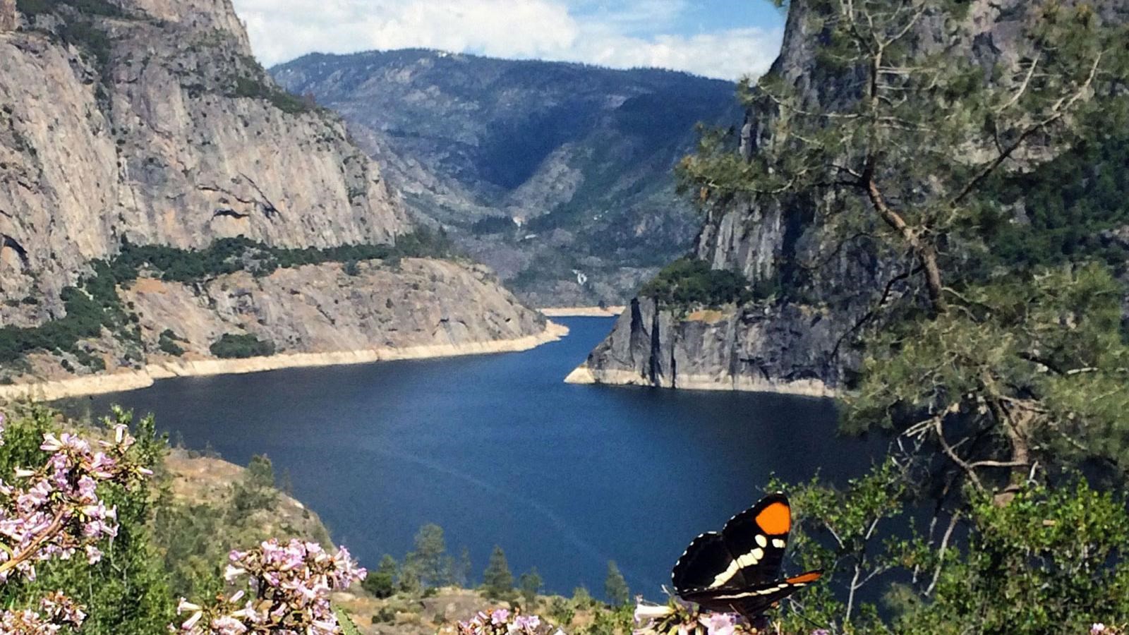 What is the Best Entrance to Yosemite? Yosemite's 5 Entrances - We're ...