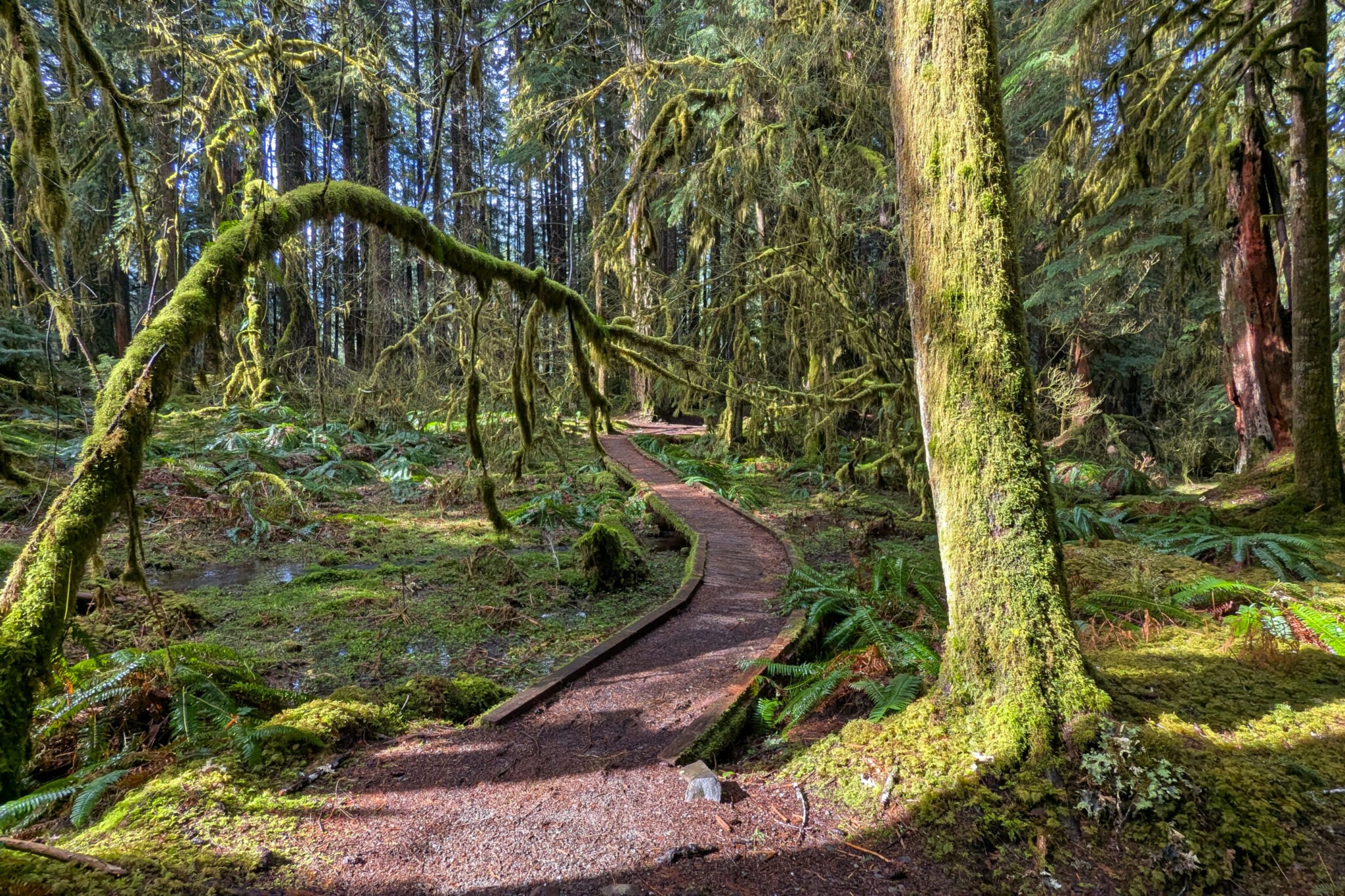 Olympic Peninsula Road Trip: Map & Stays - wereintherockies