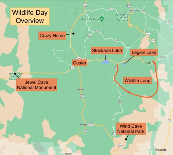 Wind Cave VS Jewel Cave: Everything You Need to Know - We're in the Rockies