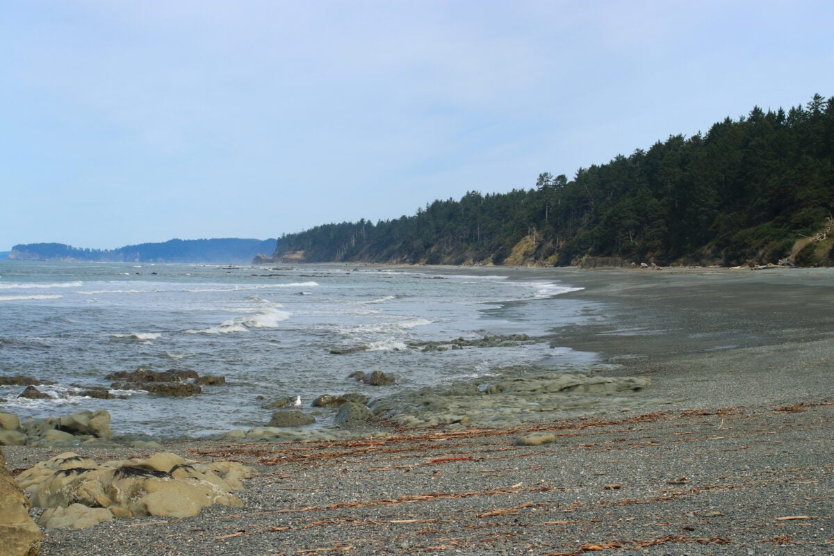 How to Visit Kalaloch and Ruby Beach in Olympic National Park - We're ...