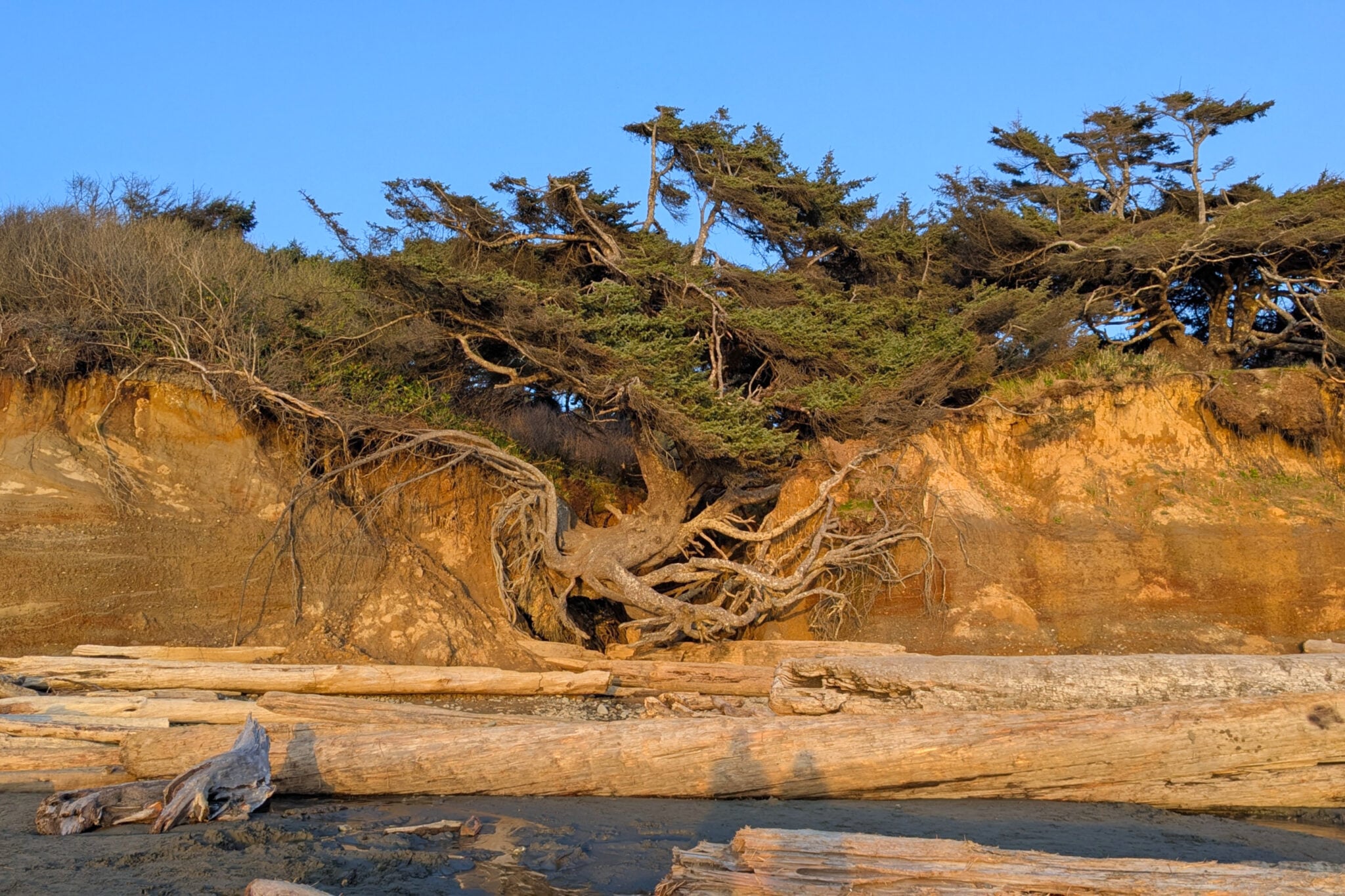 How to Visit Kalaloch and Ruby Beach in Olympic National Park - We're ...