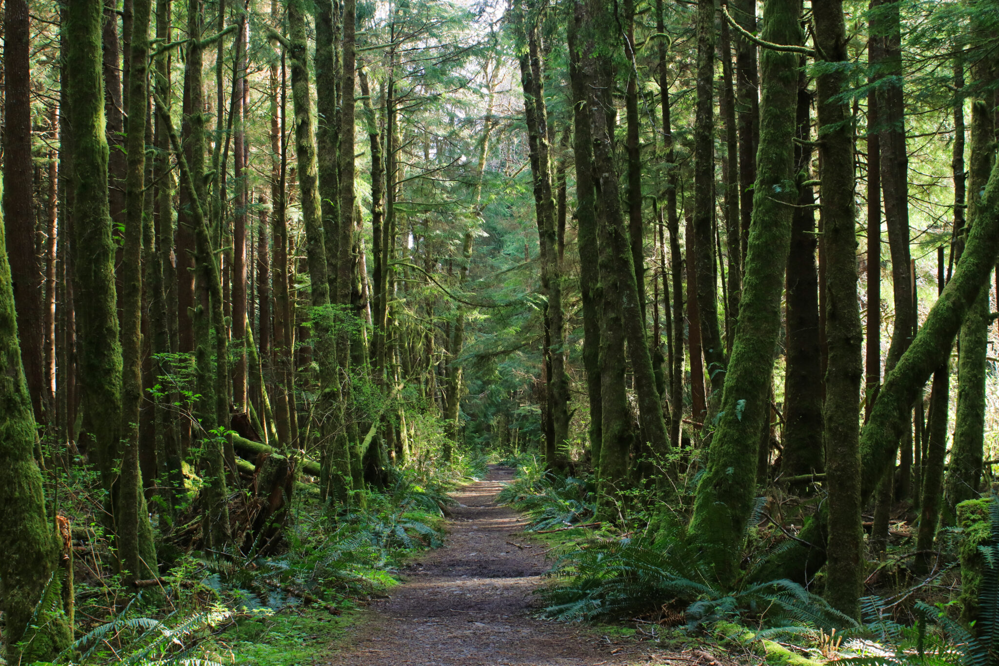 How to Visit La Push: Beaches & Hikes Guide - wereintherockies