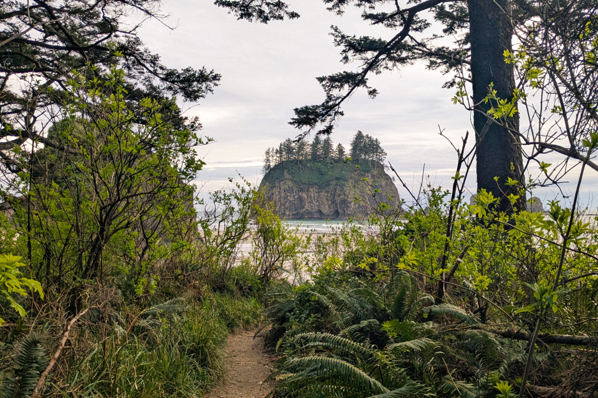 How to Visit La Push: Beaches & Hikes Guide - wereintherockies