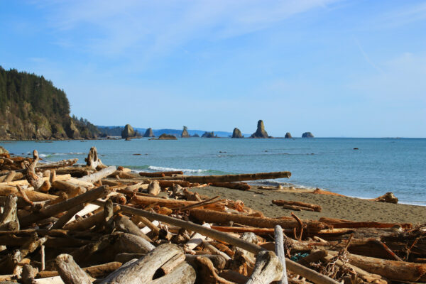 How to Visit La Push: Beaches & Hikes Guide - wereintherockies