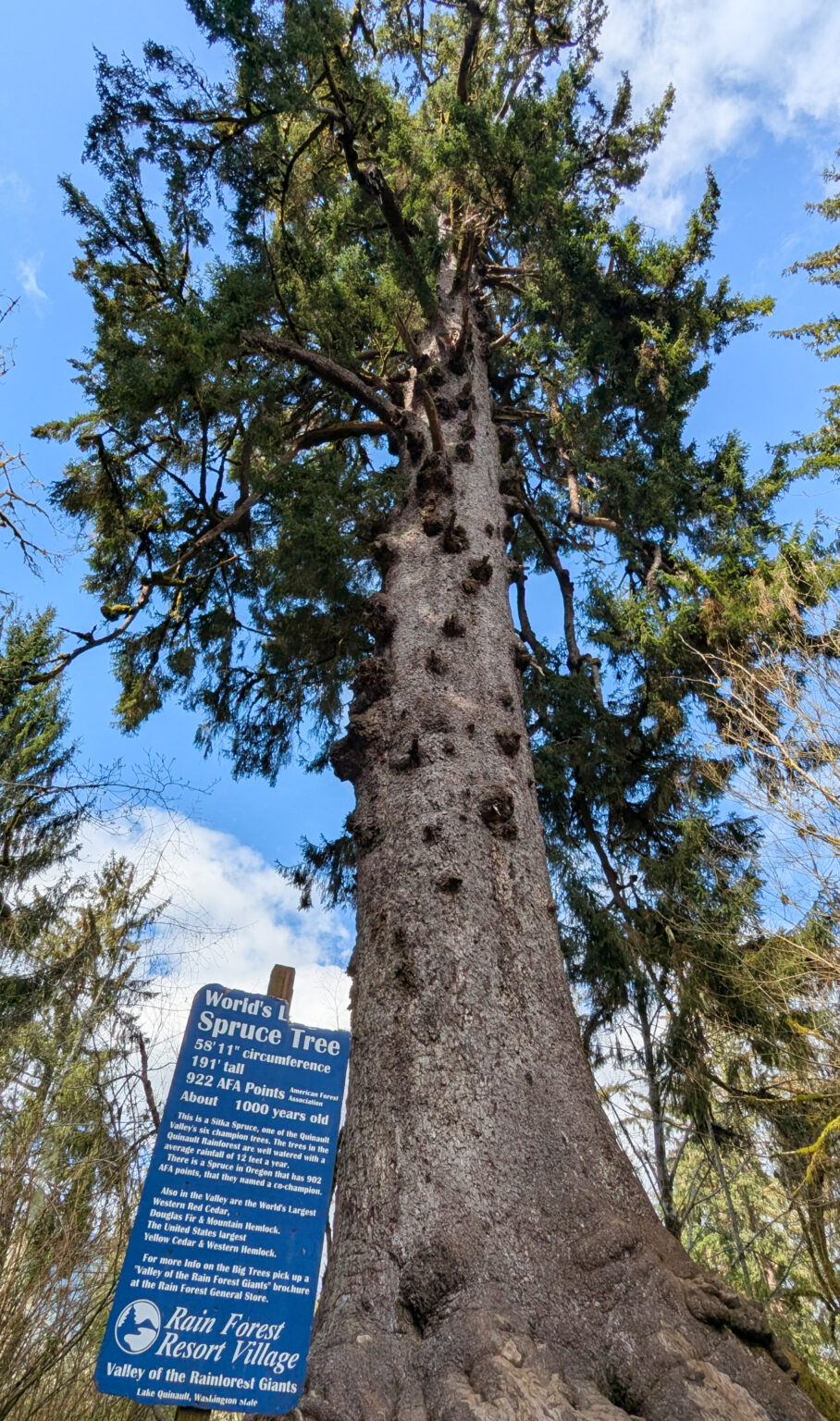 How to Visit Quinault Lake in Olympic National Park - We're in the Rockies