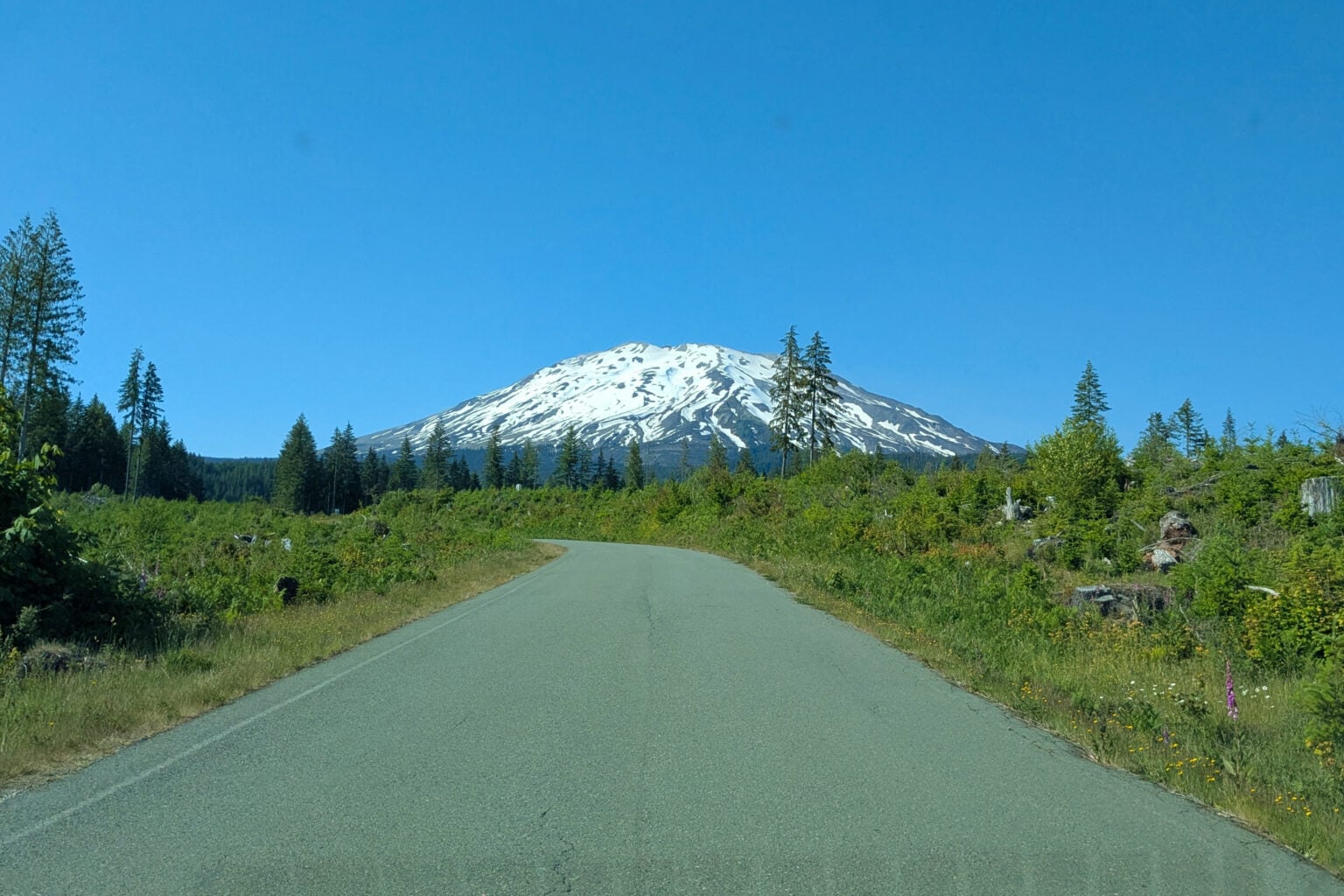 How to Visit Mount St. Helens: 9 Things To Do - We're in the Rockies