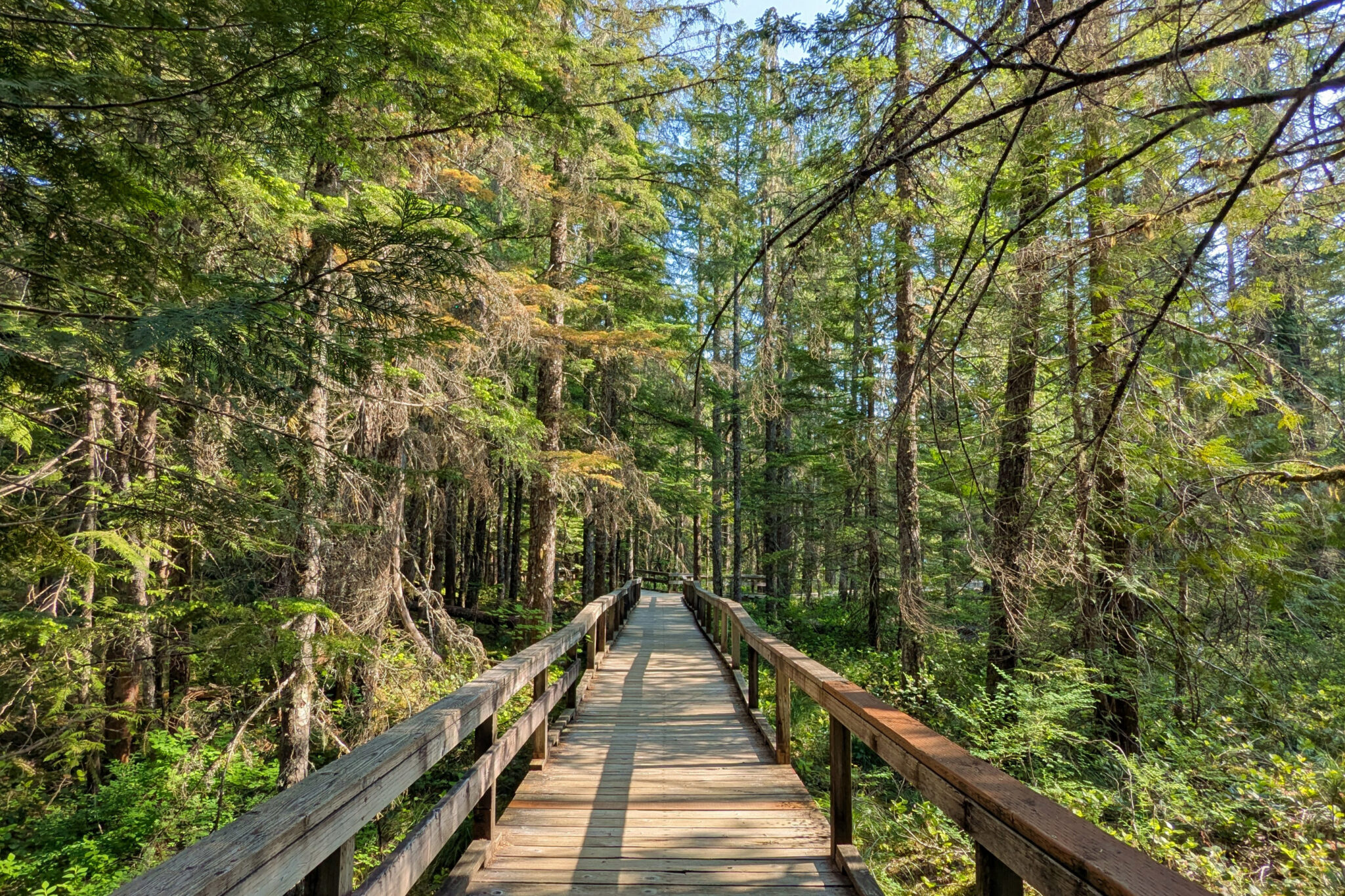 How to Visit Mount St. Helens: 9 Things To Do - We're in the Rockies