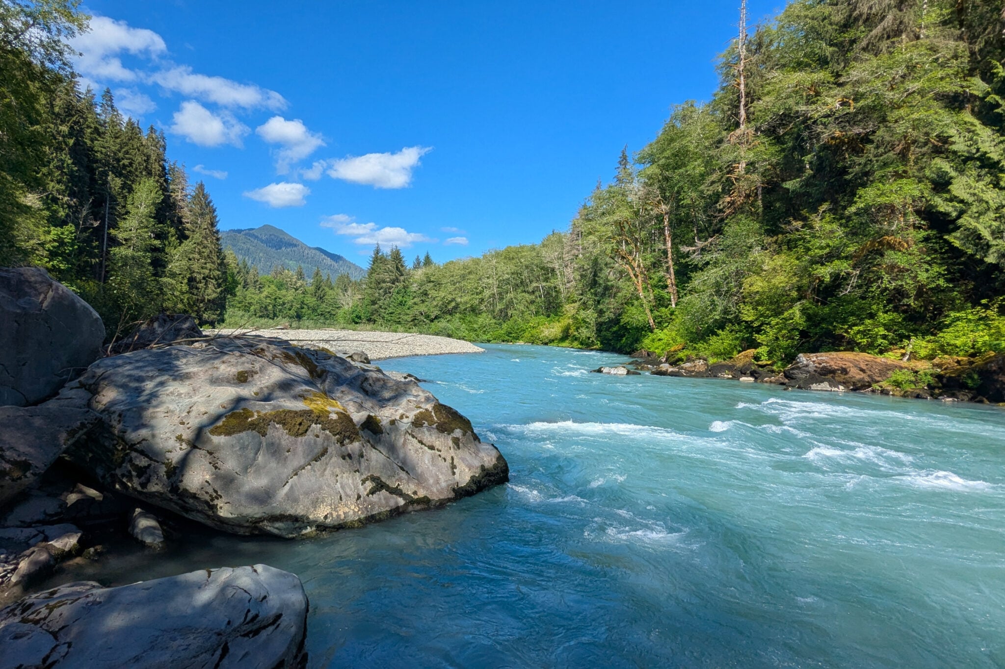 7 Best Things To Do in the Hoh Rain Forest (+Where to Eat and Stay ...