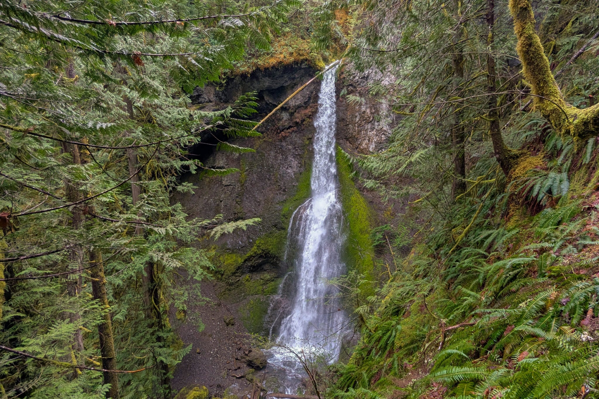 How to Visit Lake Crescent in Olympic National Park - We're in the Rockies