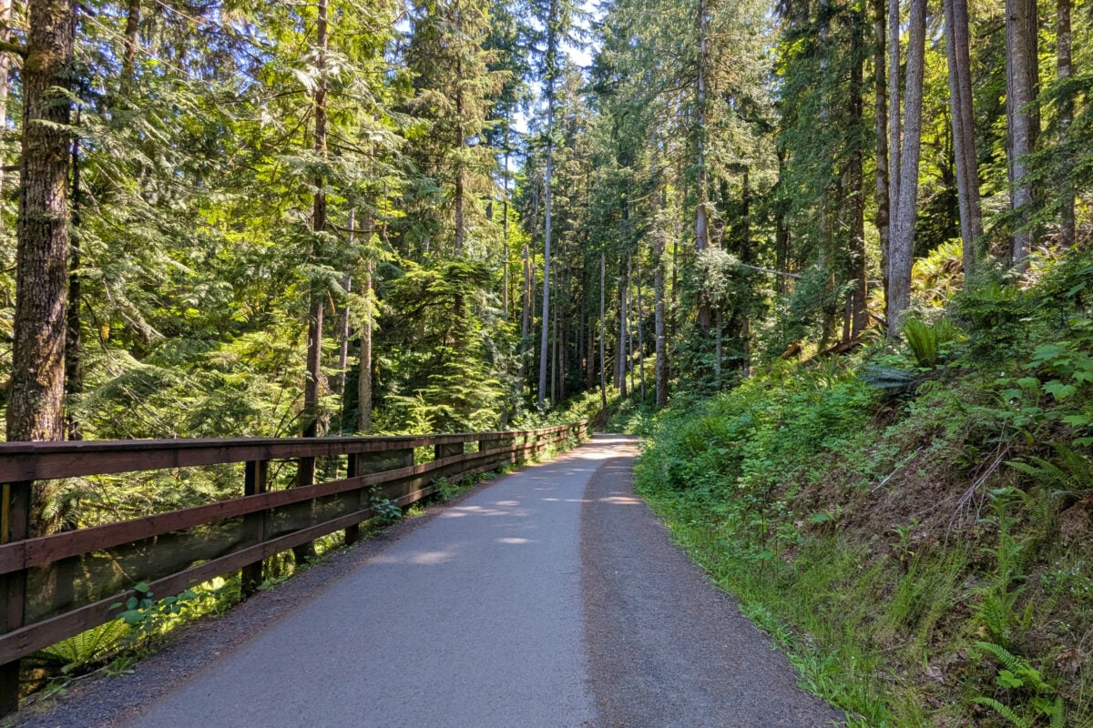 How to Visit Lake Crescent in Olympic National Park - We're in the Rockies