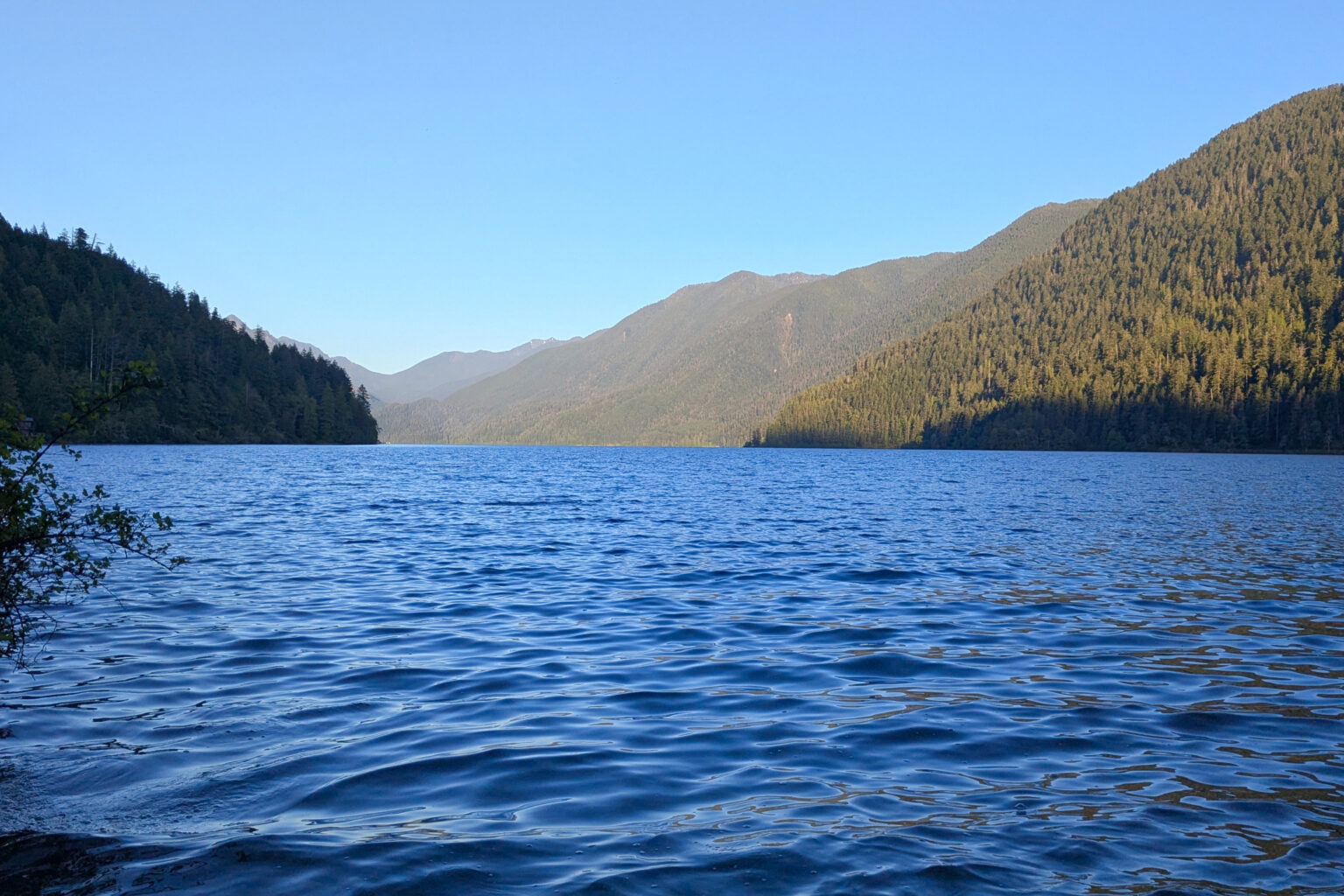 Best Places to Camp In and Around Olympic National Park - We're in the ...