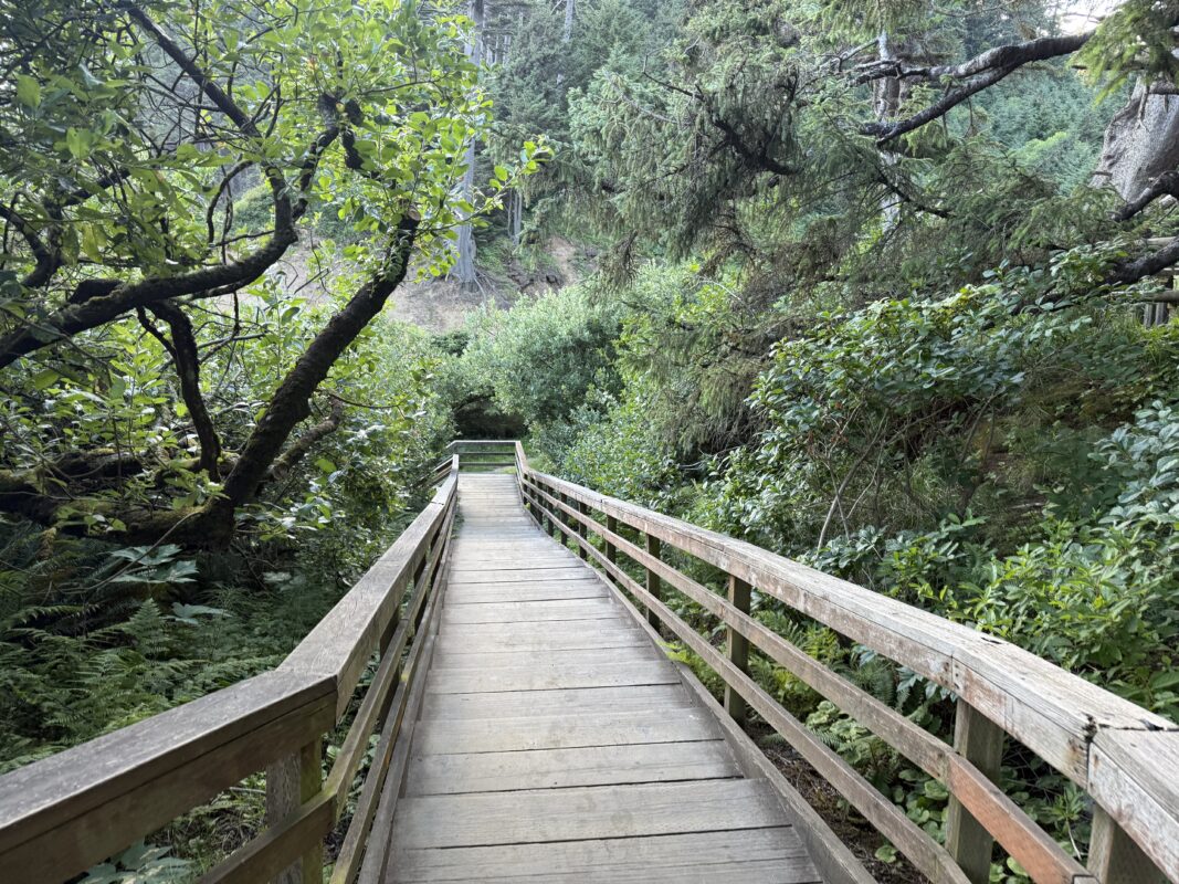 10 BEST Beaches on the Oregon Coast (+ the Ones You Can Skip) - We're ...
