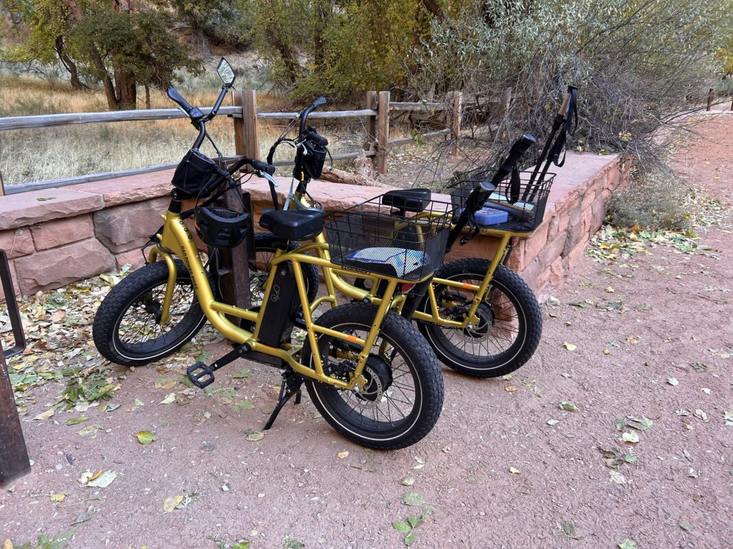 Everything You NEED TO KNOW to Bike in Zion National Park (+ E-biking ...