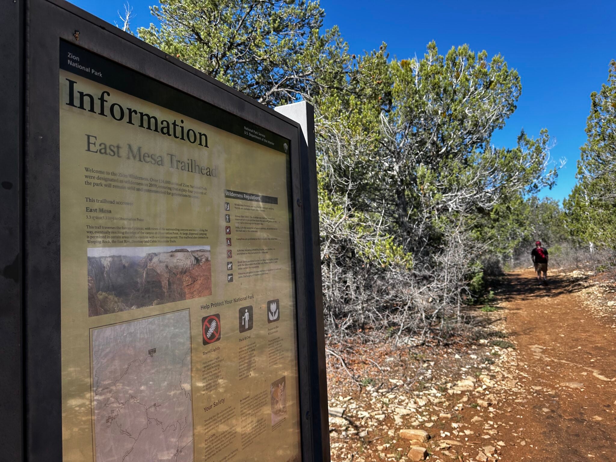 Observation Point via East Mesa Trail (Zion): My Honest Review - We're ...