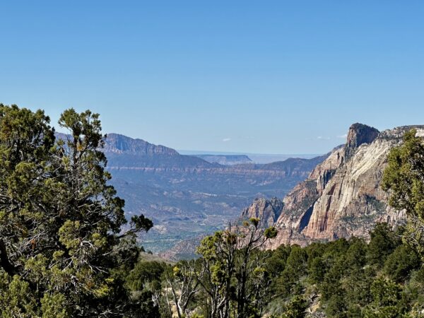 Observation Point via East Mesa Trail (Zion): My Honest Review - We're ...